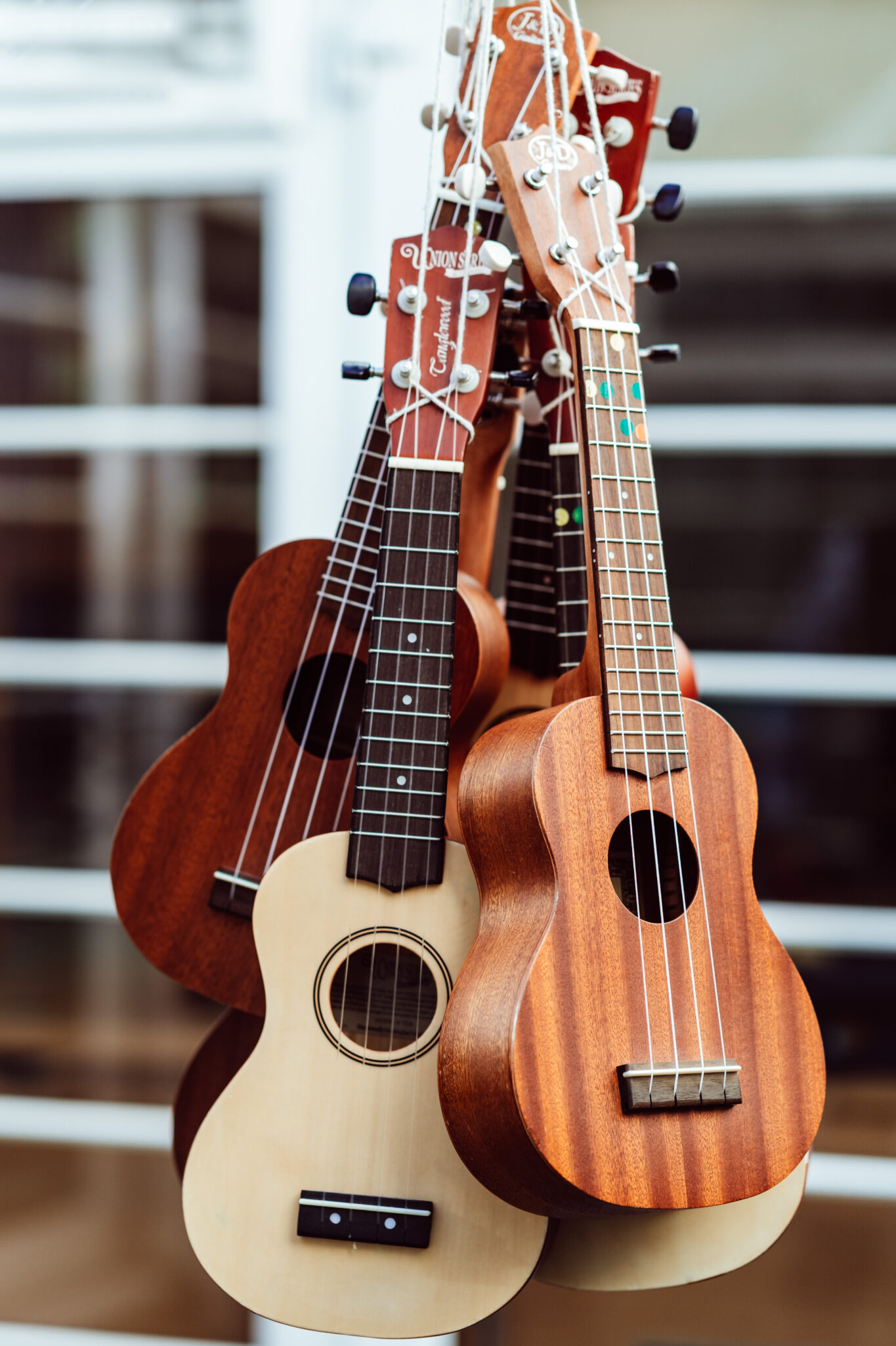 Sing Education - leading providers of primary school curricular music